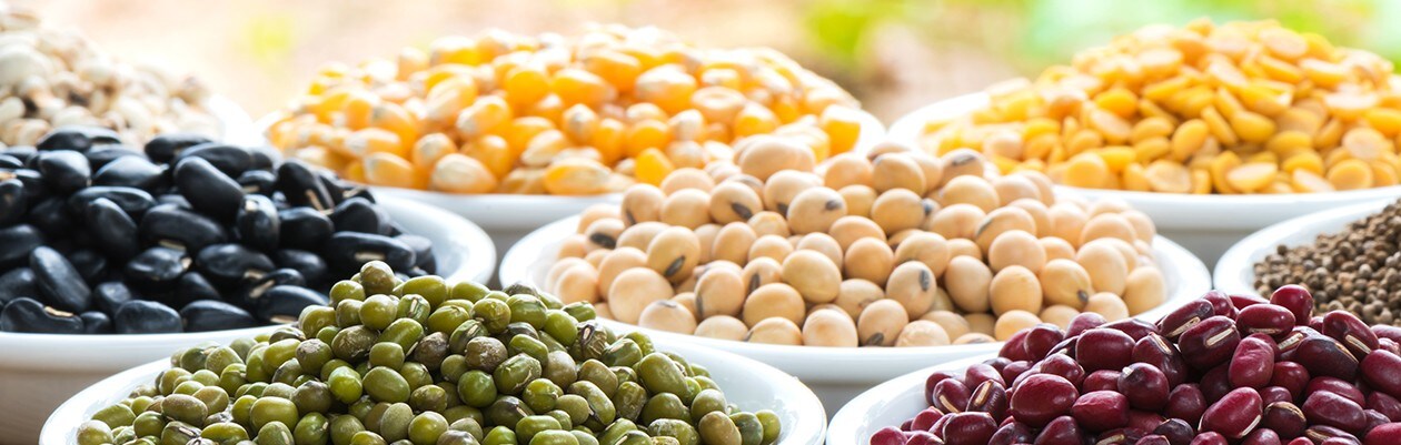 Cuisine of Indigenous America