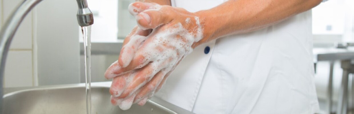 Professional Hand Wash Guide